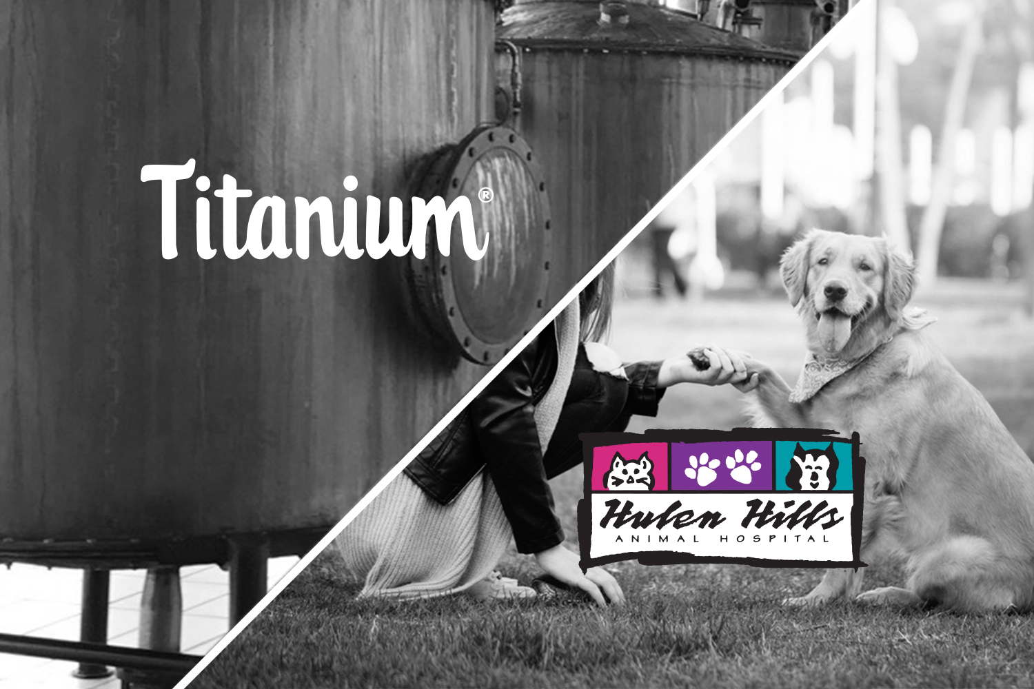 Balcom Agency Celebrates New Client Wins